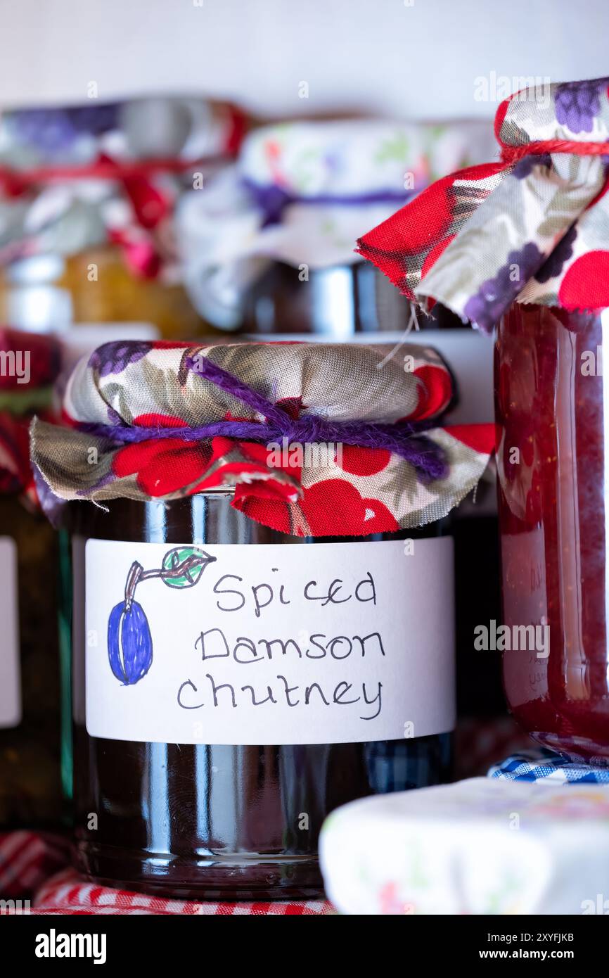 Foraged damsons hi-res stock photography and images - Alamy