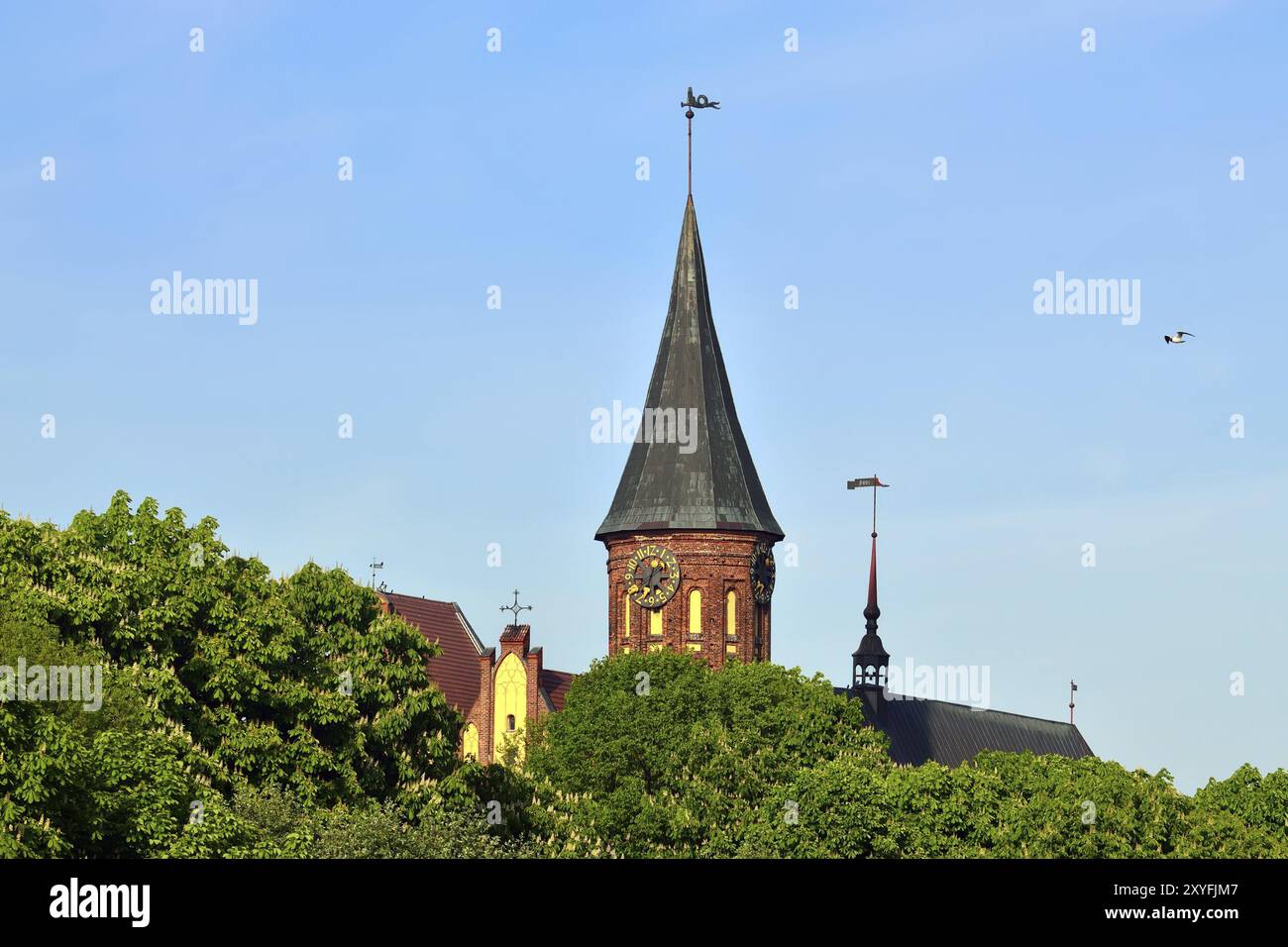 Koenigsberg Cathedral on the Kneiphof island, Gothic 14th century ...