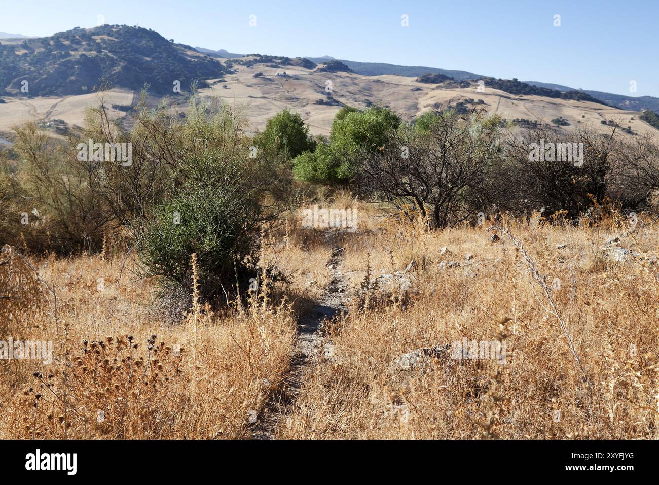 Dry Spanish highlands, Andalucia Stock Photo - Alamy