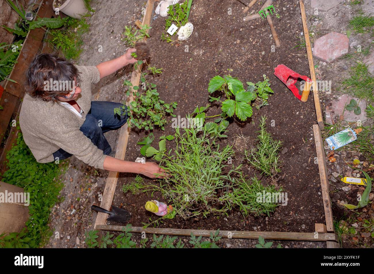Low income public housing gardens hi-res stock photography and images ...