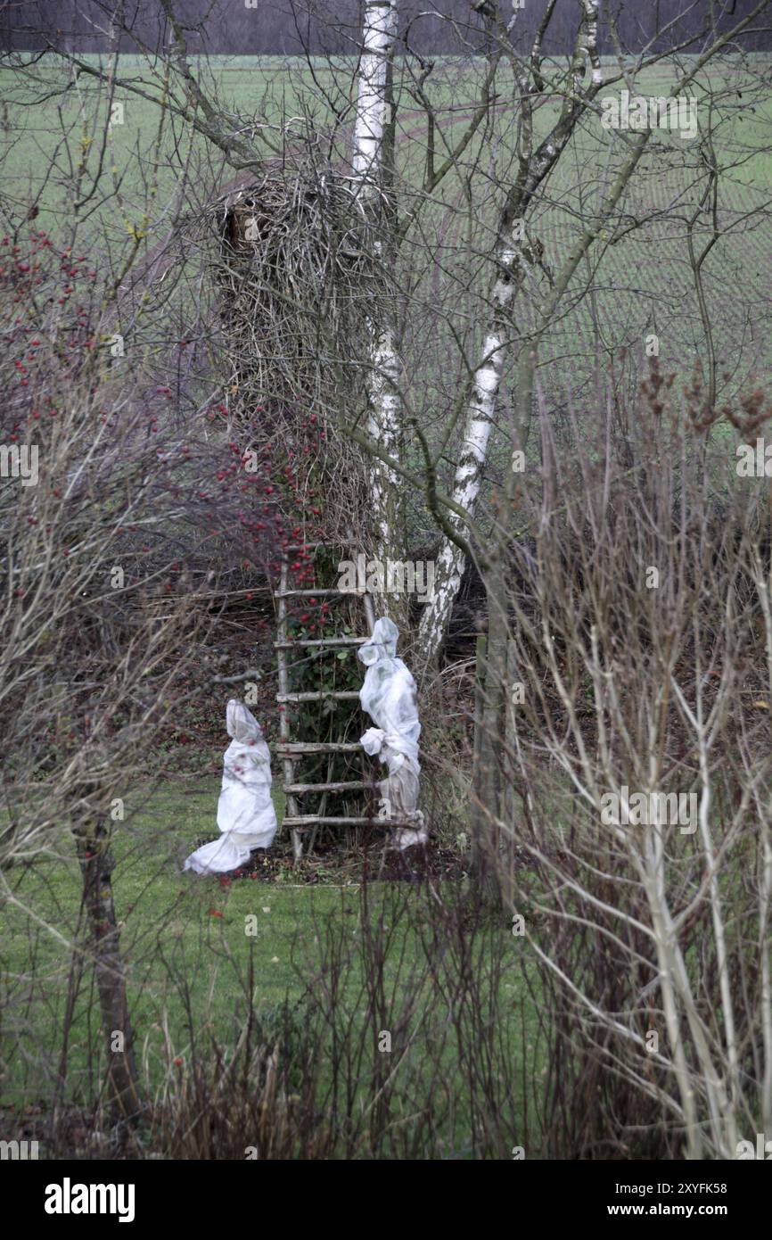 Frost proof garden hi-res stock photography and images - Alamy