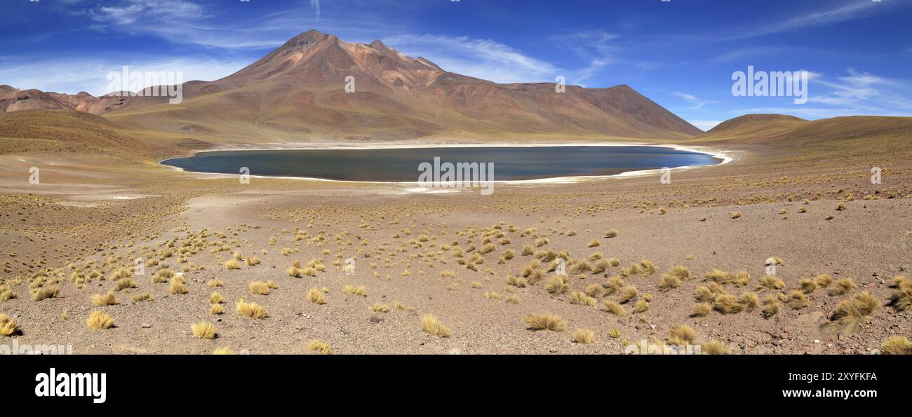 Laguna Miniques in the Atacama Desert in Chile Stock Photo - Alamy
