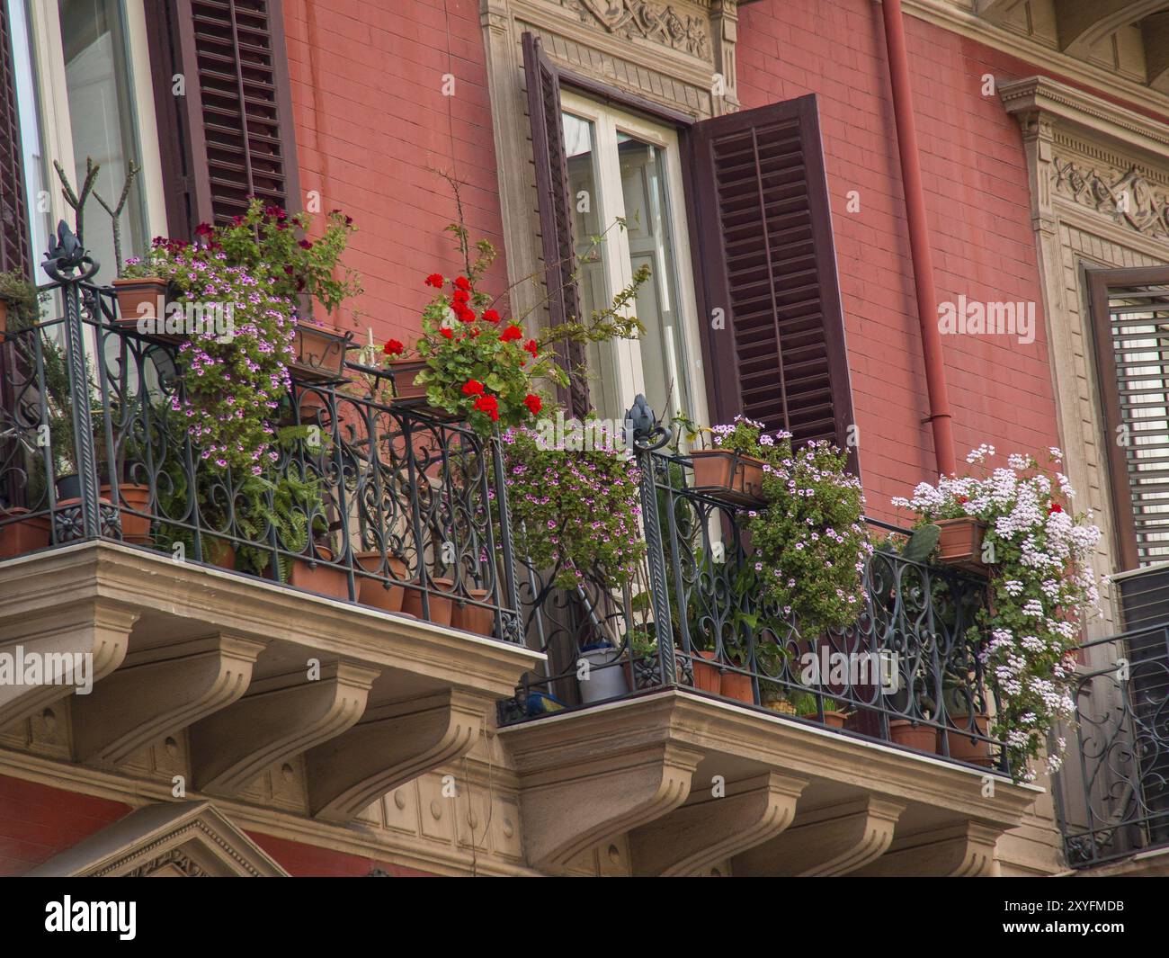 Rich plant hi-res stock photography and images - Alamy