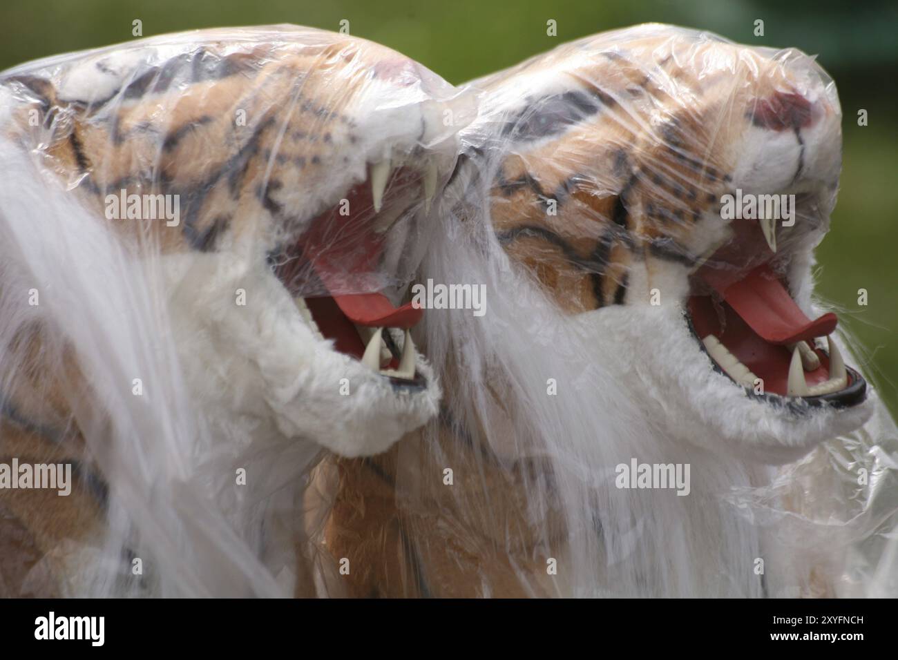 Cuddly soft toy tigers hi-res stock photography and images - Alamy