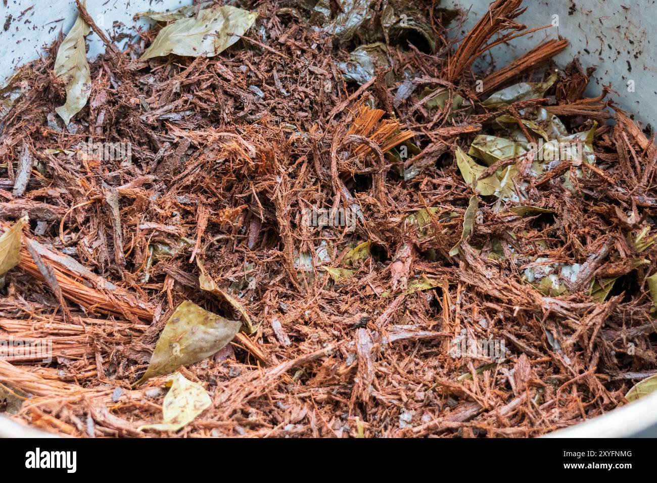 Indigenous peruvian culture hi-res stock photography and images - Alamy