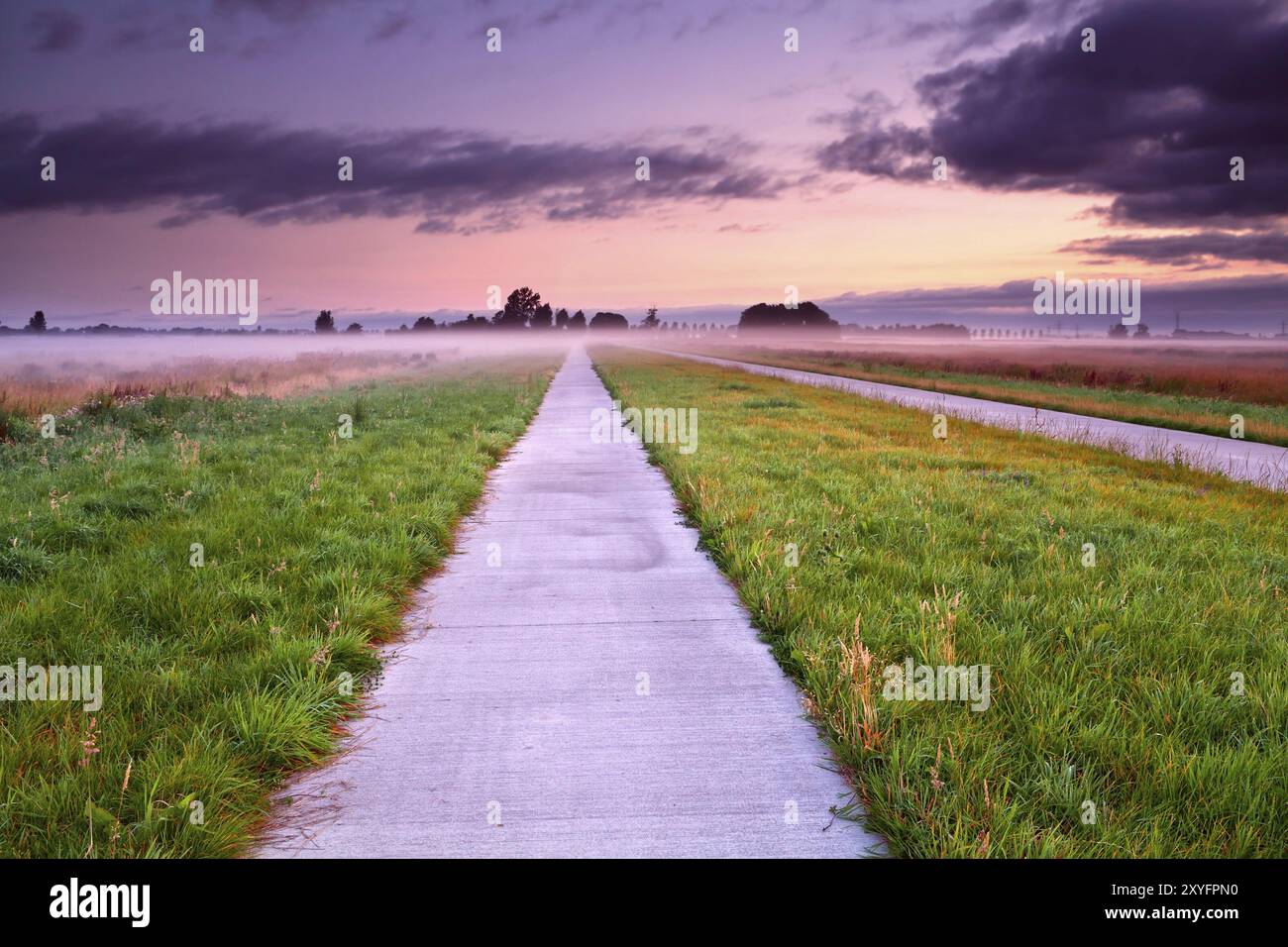 Dutch bicycle road through summer misty meadows Stock Photo - Alamy