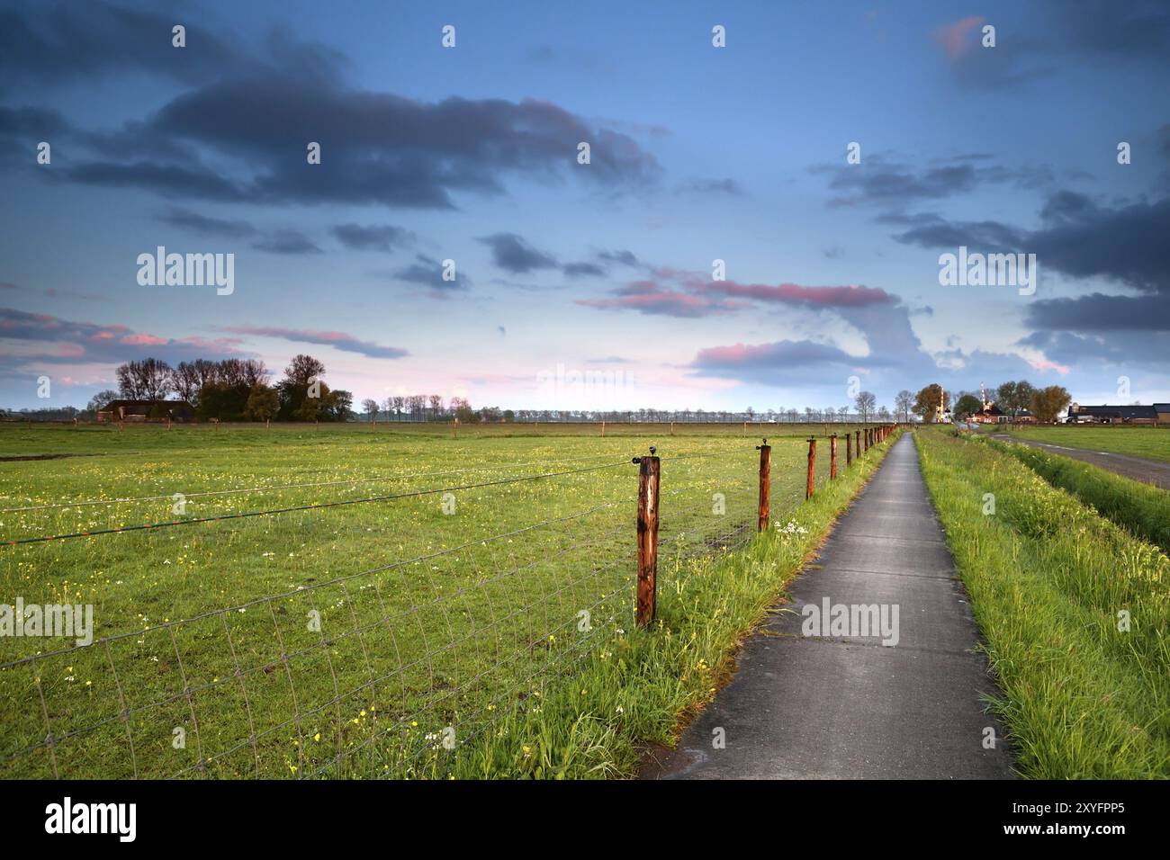Road for bicycles at spring sunrise in Holland, Groningen Stock Photo ...