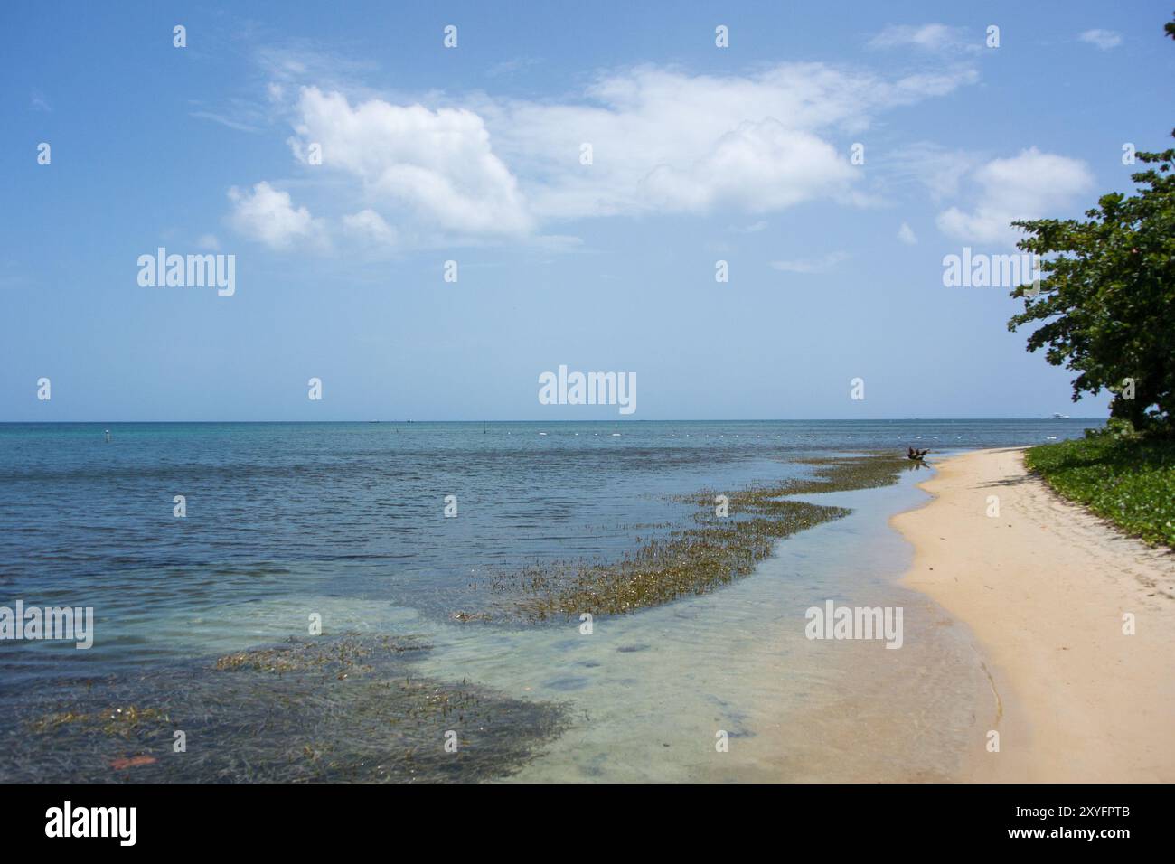 West Bay Beachfront, Roatan Honduras Stock Photo - Alamy