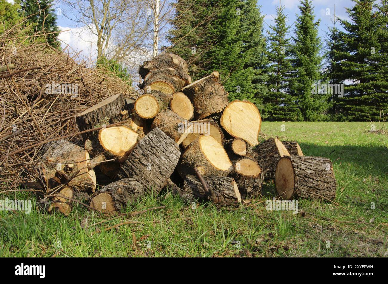 Holzstapel, Stapel aus Holz Stock Photo - Alamy