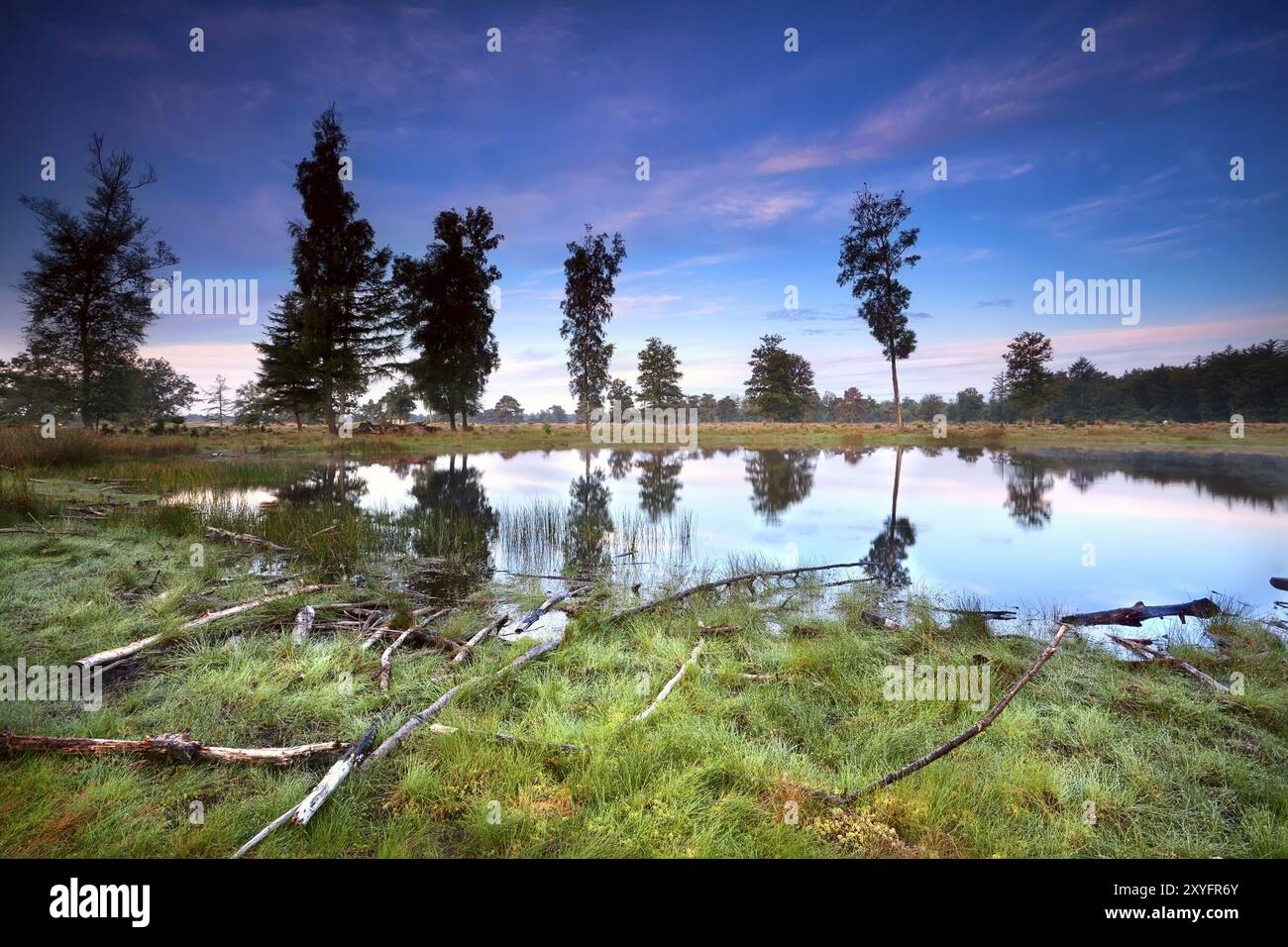 Sunrise over little wild lake, Drents-Friese wold, Netherlands Stock ...