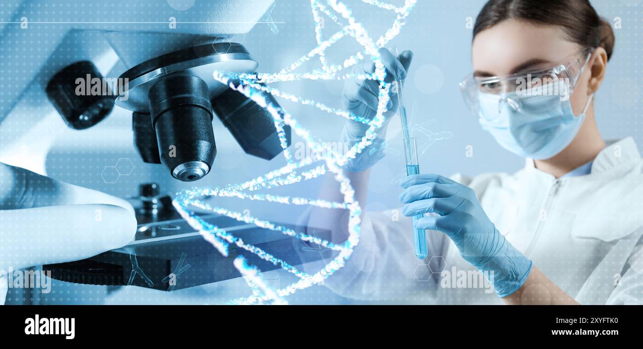 Scientist working in lab, microscope and DNA, multiple exposure ...