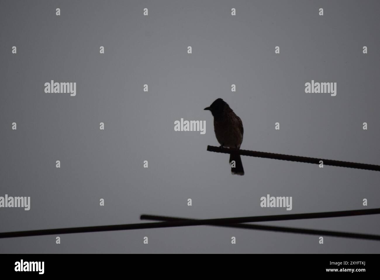 Hot iron rod hi-res stock photography and images - Alamy