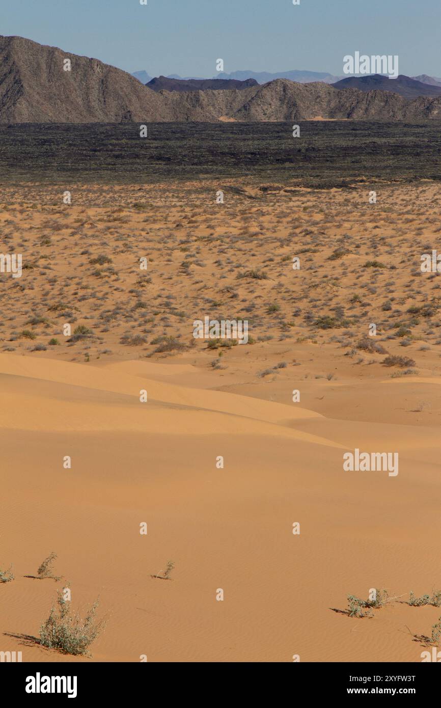 View of El Pinacate volcano from the desrt in Sonnora Stock Photo - Alamy