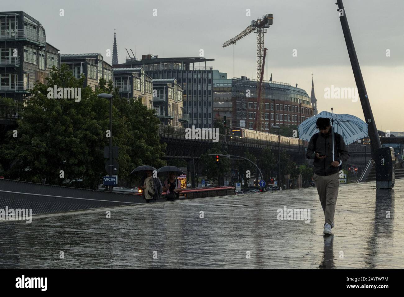 Symbolic picture weather, heavy rain in summer, thunderstorm, storm ...