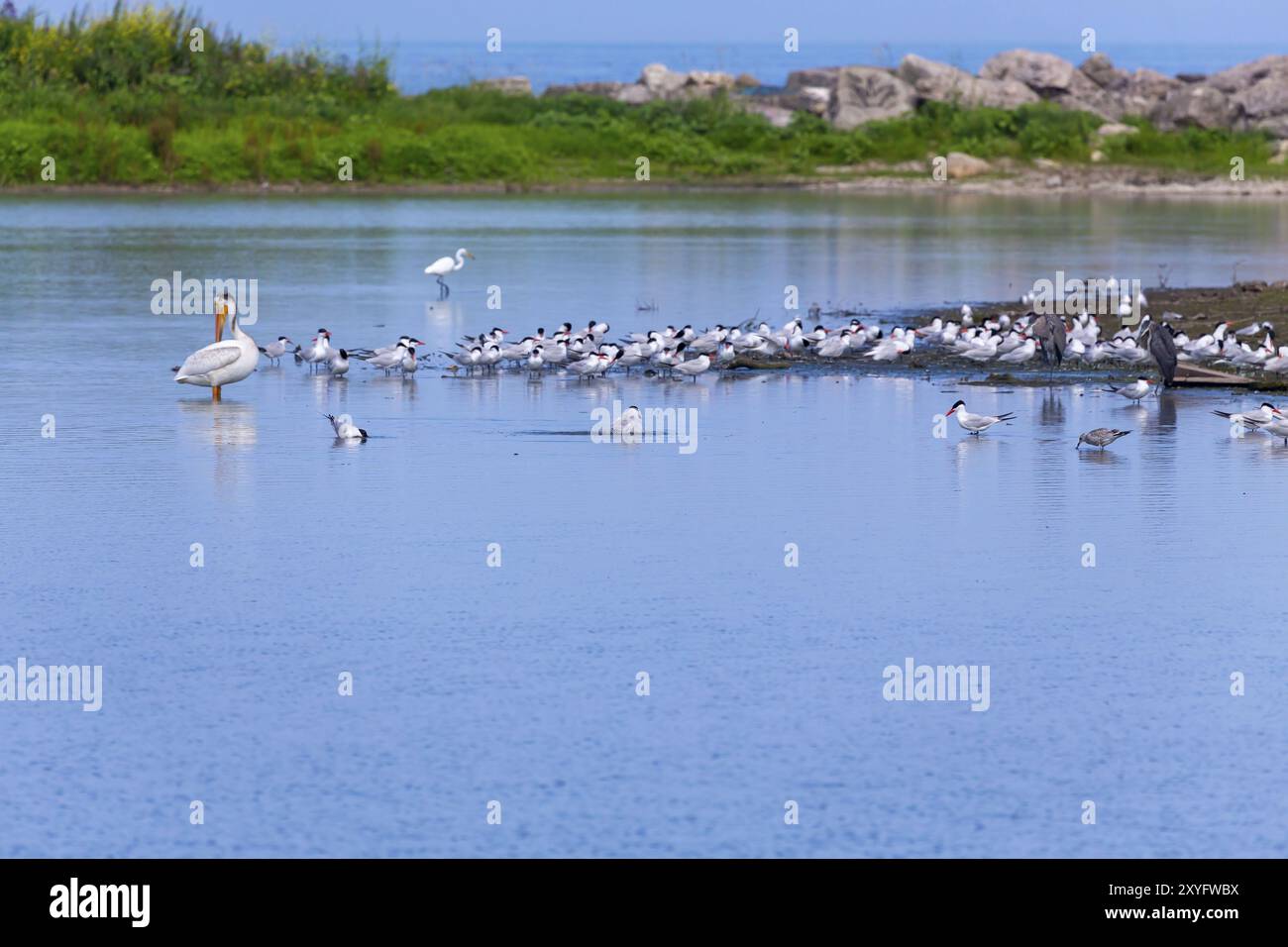 Natural scene from Wisconsin Stock Photo - Alamy