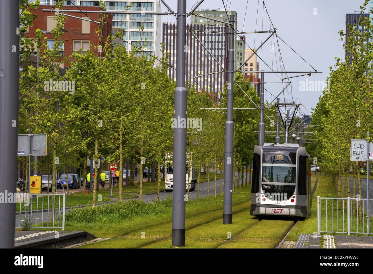 Urban greening, inner-city street Laan op Zuid, in Rotterdam's ...