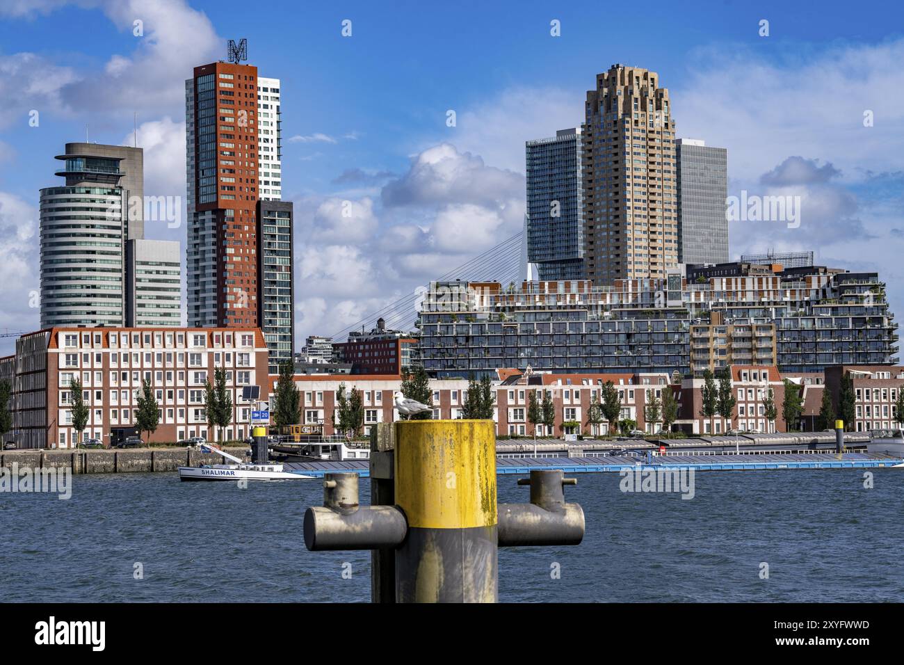 Harbour basin of the Maashaven, inland waterway port, jetties ...
