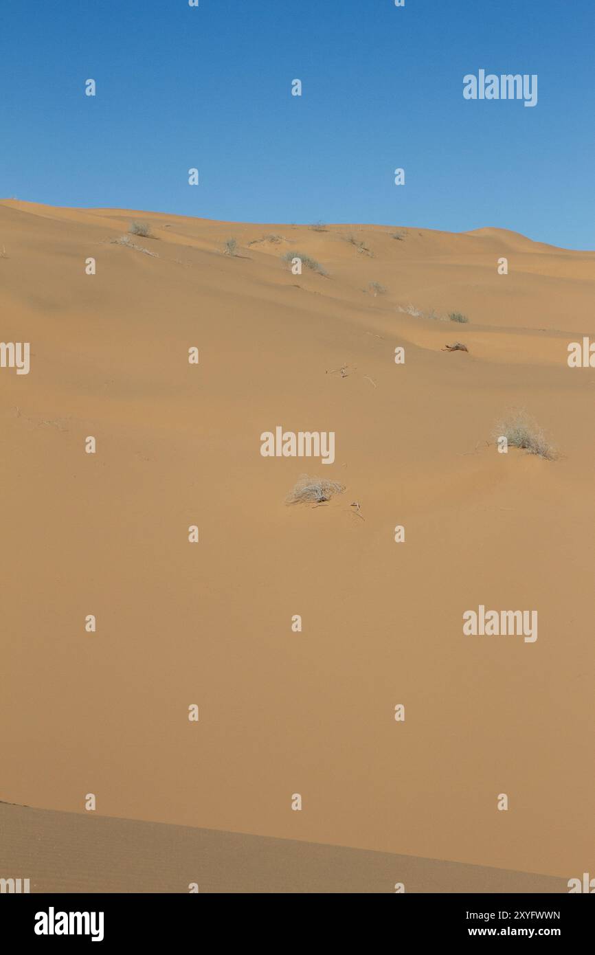 Landscape of dunes in the desert. Gran Desierto de Altar, Sonora ...