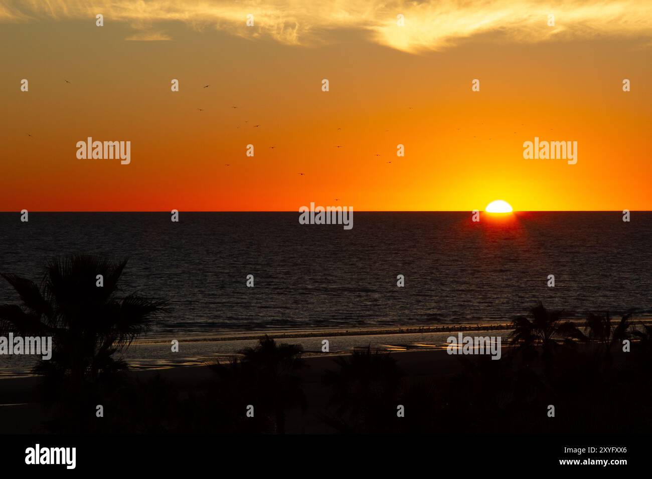 Beautiful sunset at the beach in Puerto Peñasco, Sonora, México Stock ...