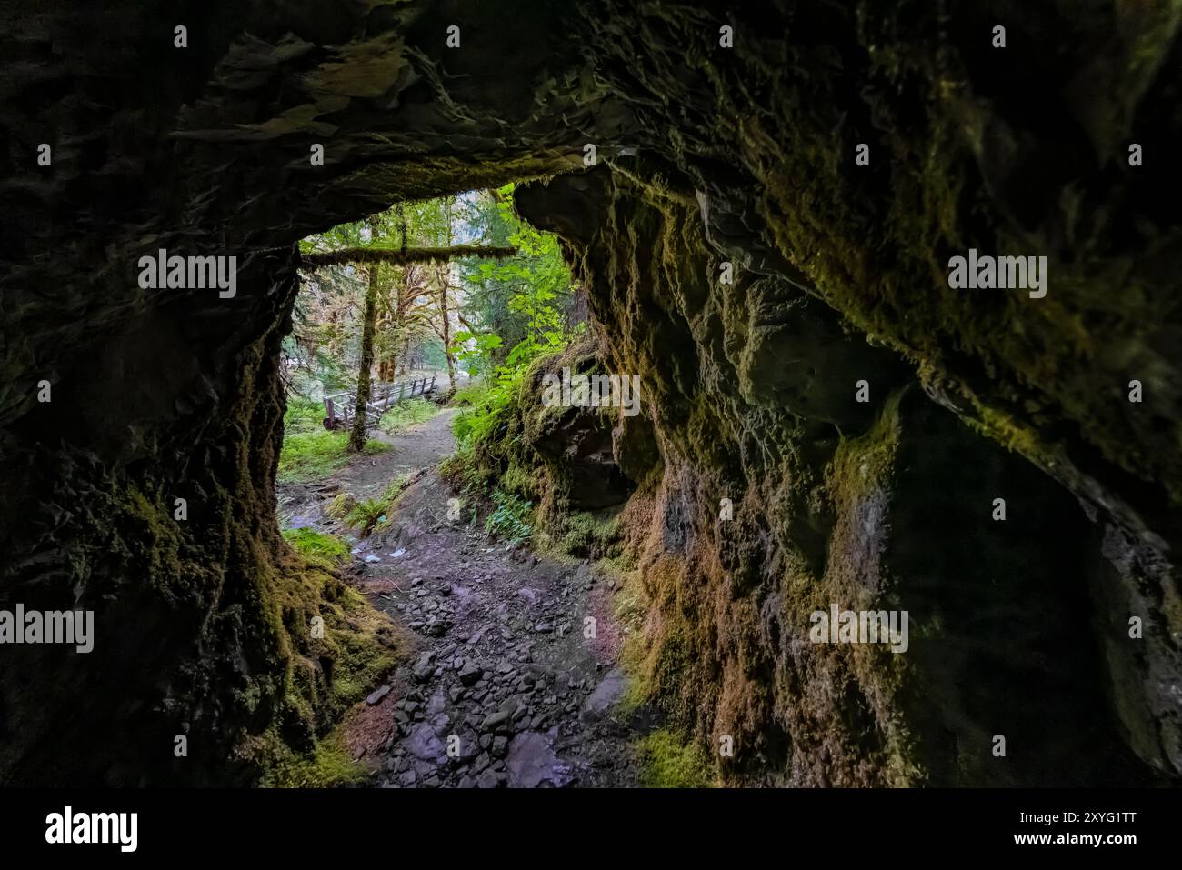 Old mine along Shady Lane Trail at Staircase, Olympic National Park ...