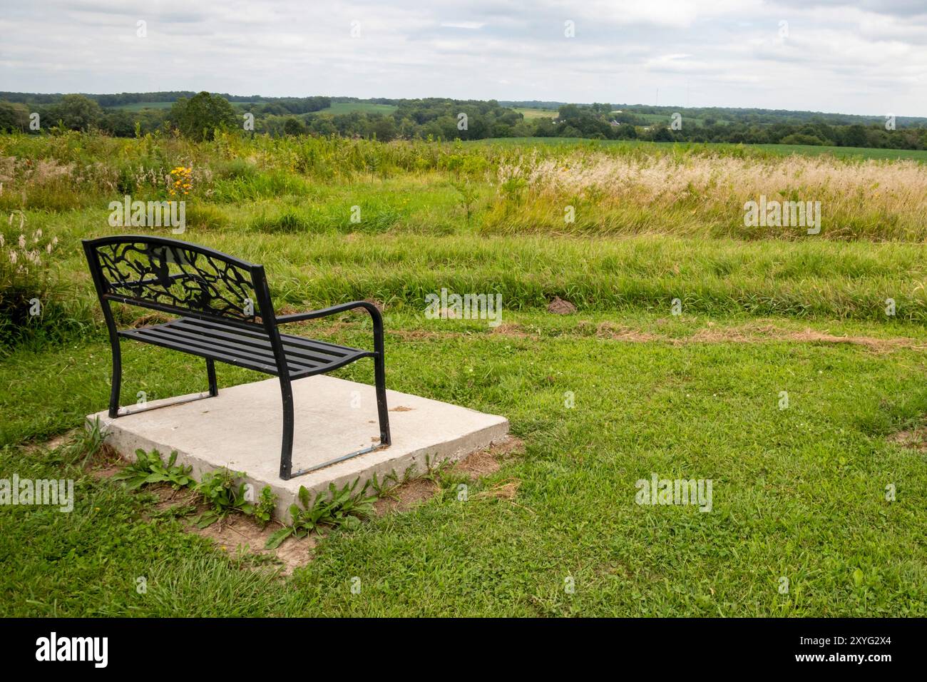 Free frank mcworter hi-res stock photography and images - Alamy