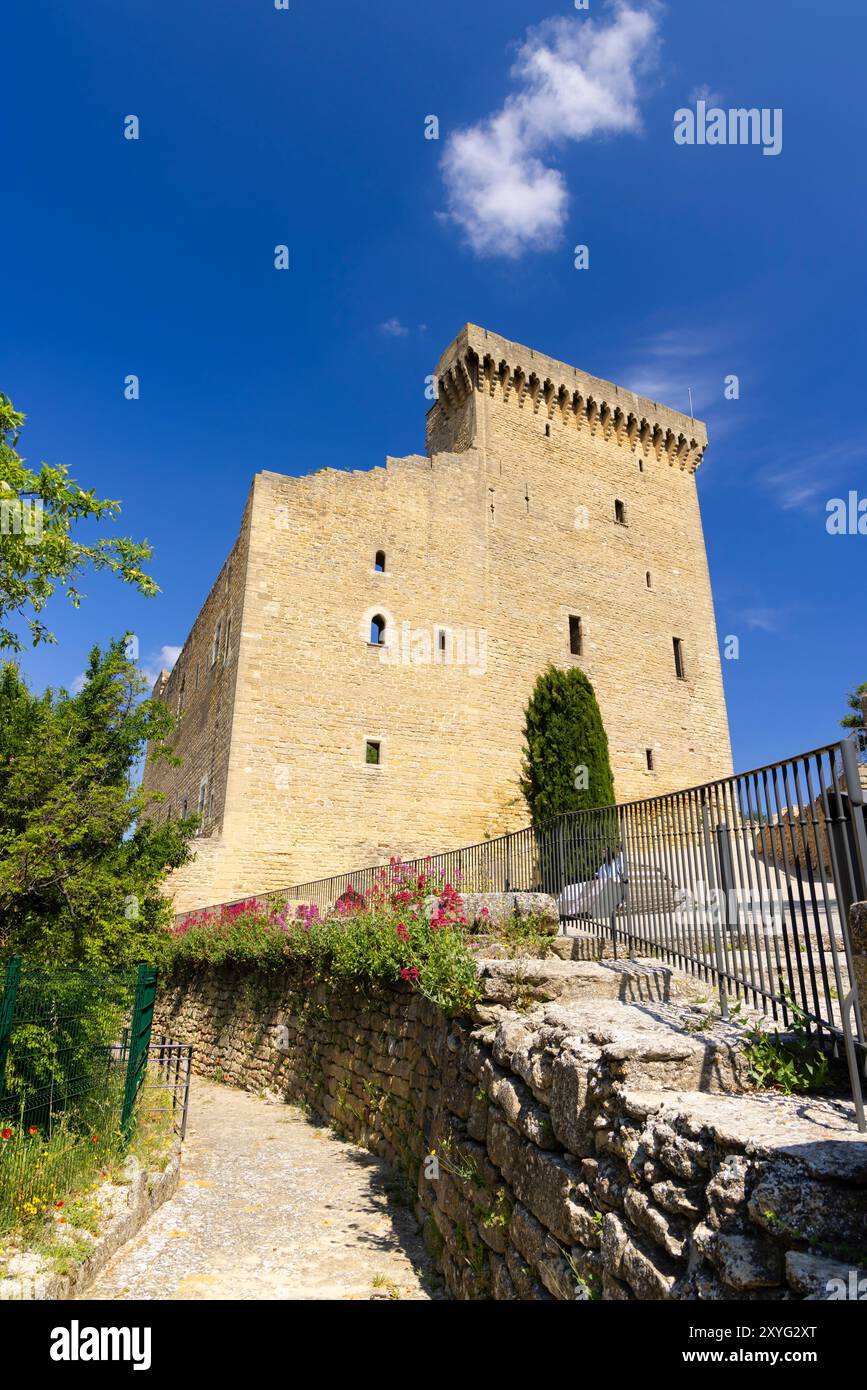 Castle chateauneuf du pape hi-res stock photography and images - Alamy