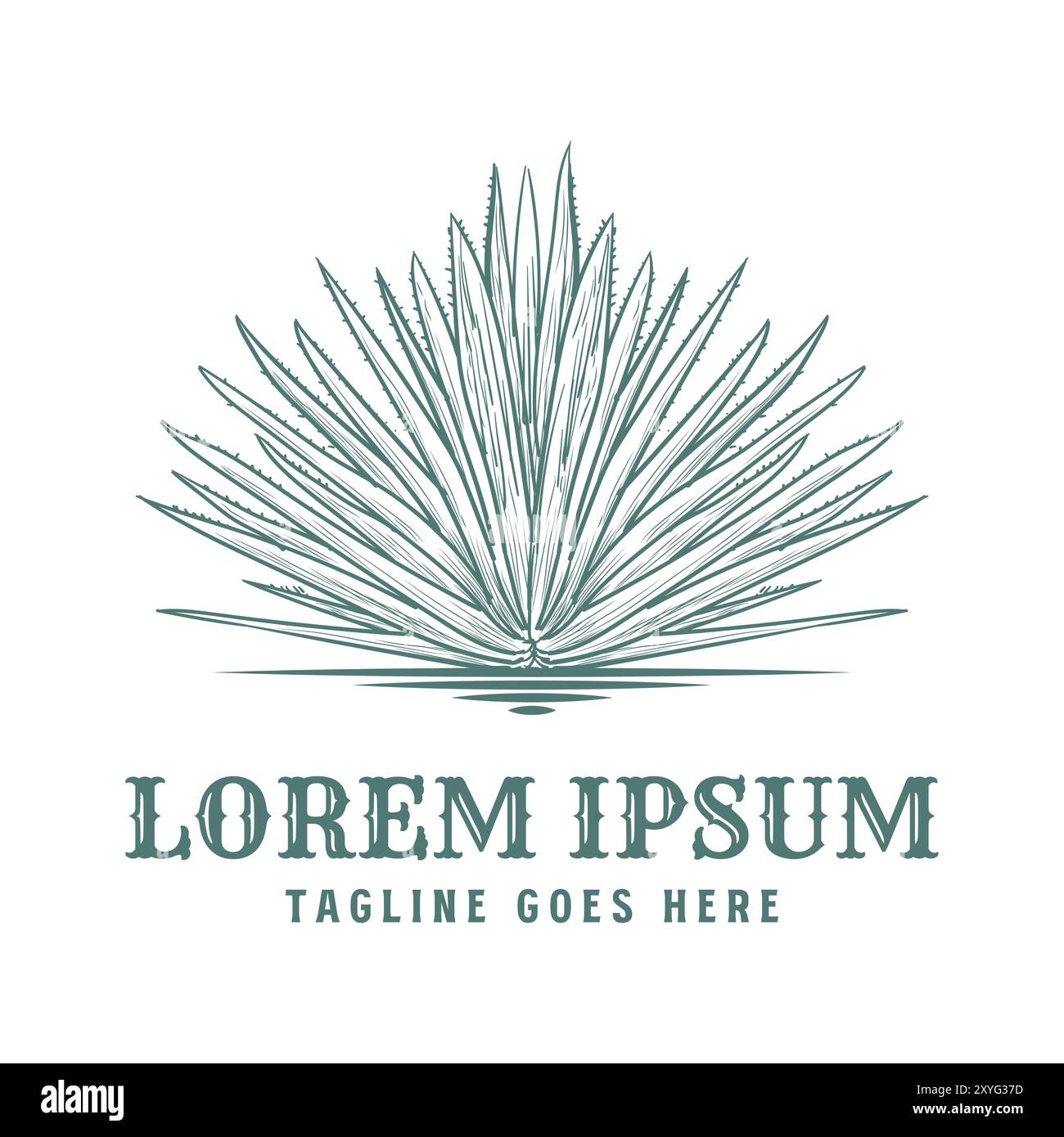 Vintage Retro Agave Plant for Mexican Drink Tequila with Hand Drawn ...