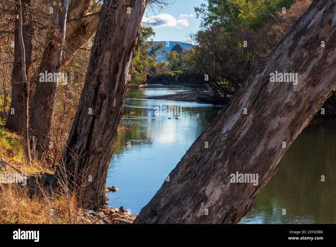 Photograph of the Tumut River flowing peacefully through the regional ...