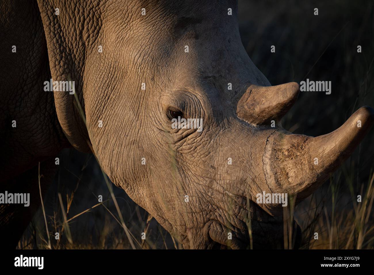 Natgeopictures hi-res stock photography and images - Alamy