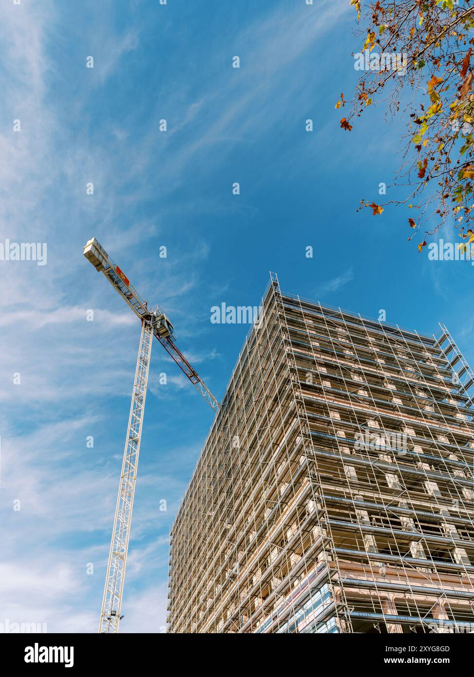 Large tower crane builds a high-rise building in a crate Stock Photo ...