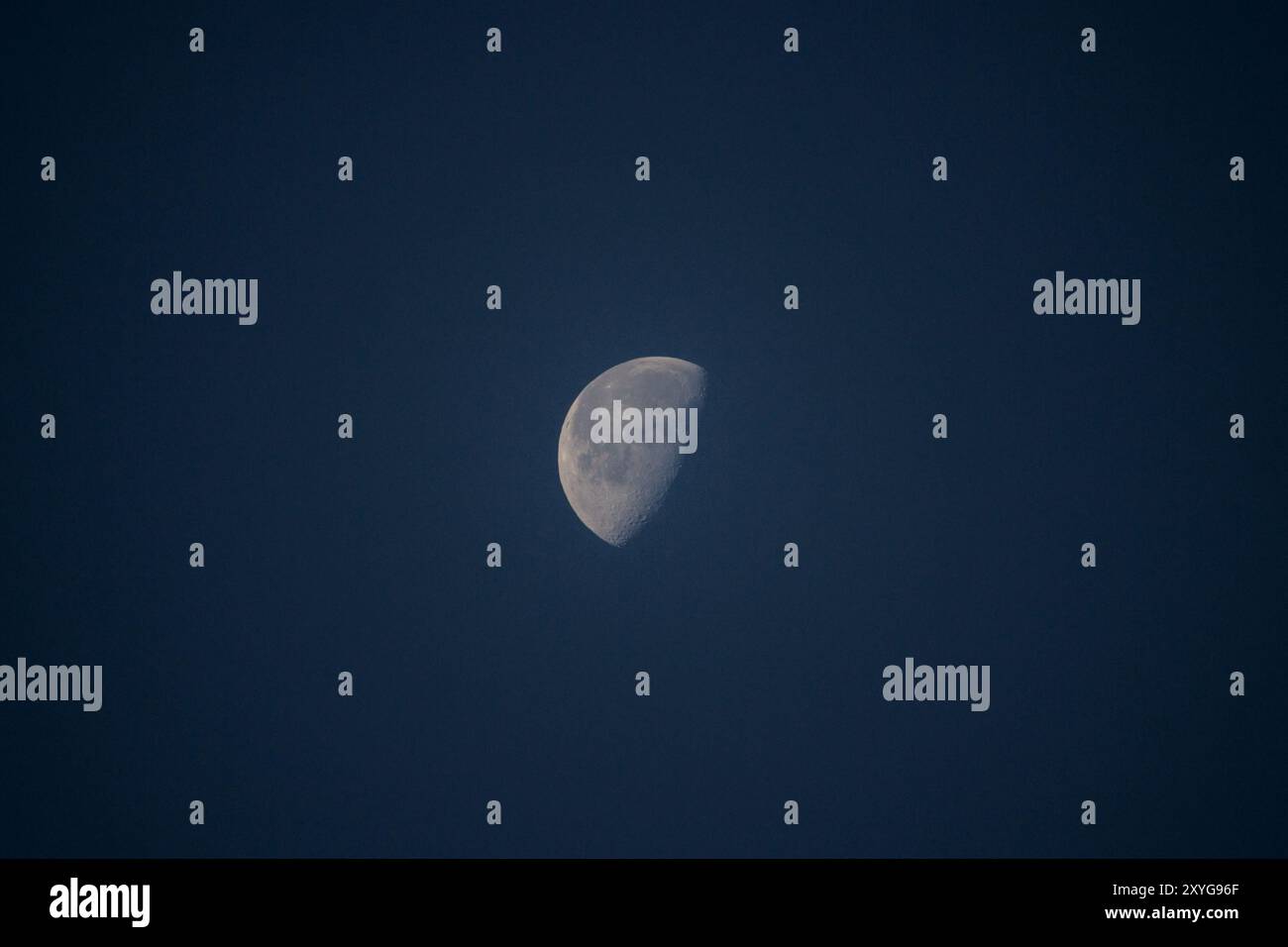 Half moon background. The Moon is an astronomical body that orbits ...