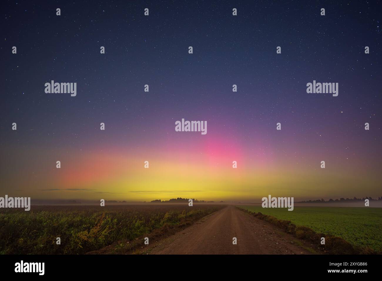 Stunning aurora borealis illuminating hi-res stock photography and ...