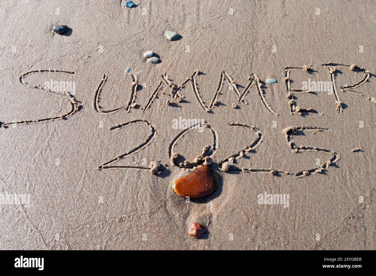 2024 Summer Background Images