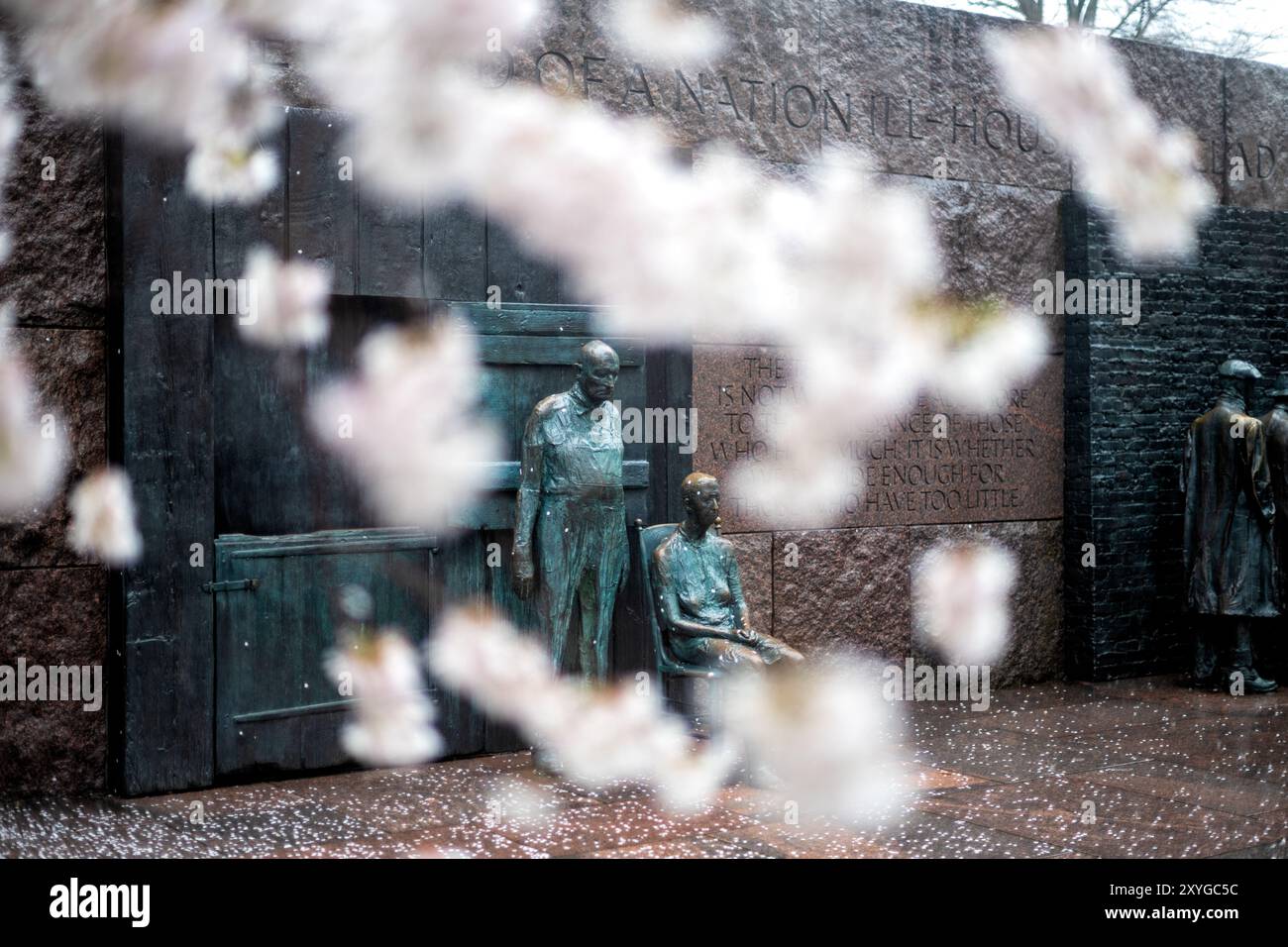 WASHINGTON DC — Cherry blossoms bloom in the foreground of the Franklin ...