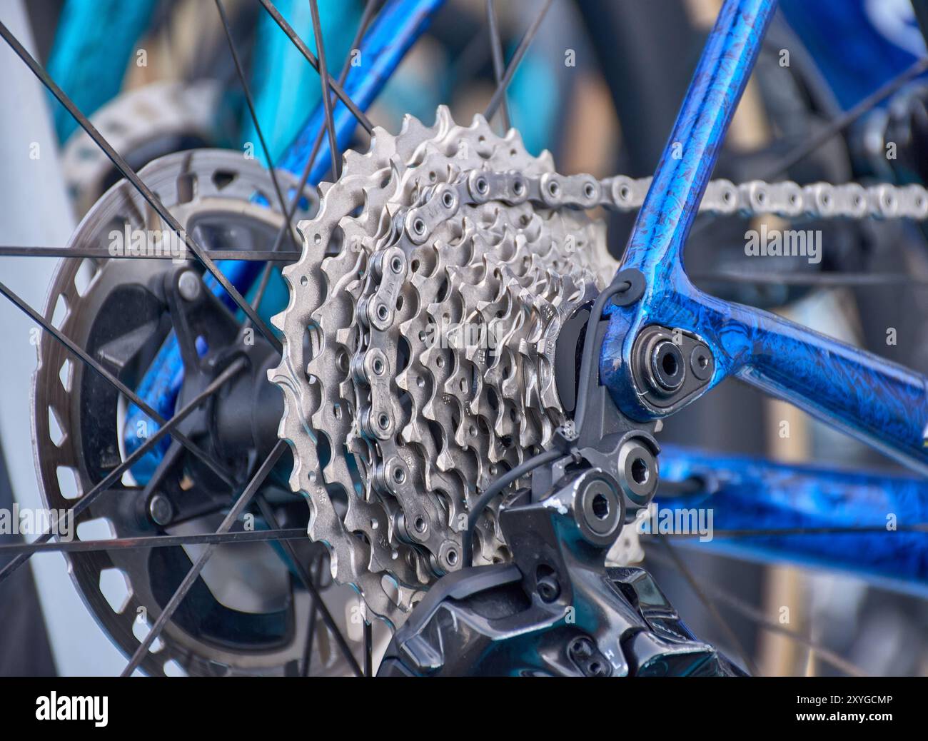 Close-up of the intricate details of a professional bicycle's gears ...