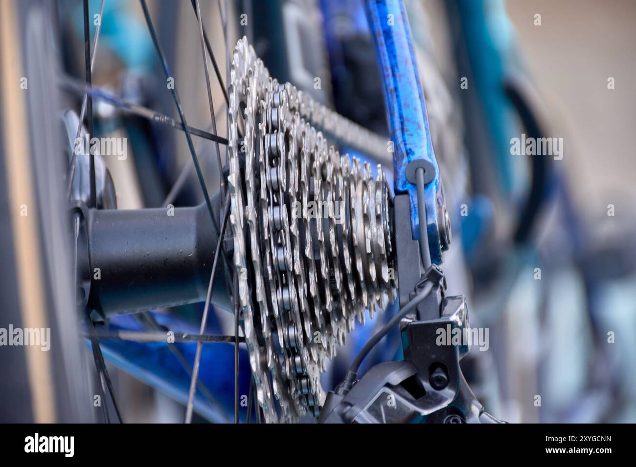 Close-up of the intricate details of a professional bicycle's gears ...