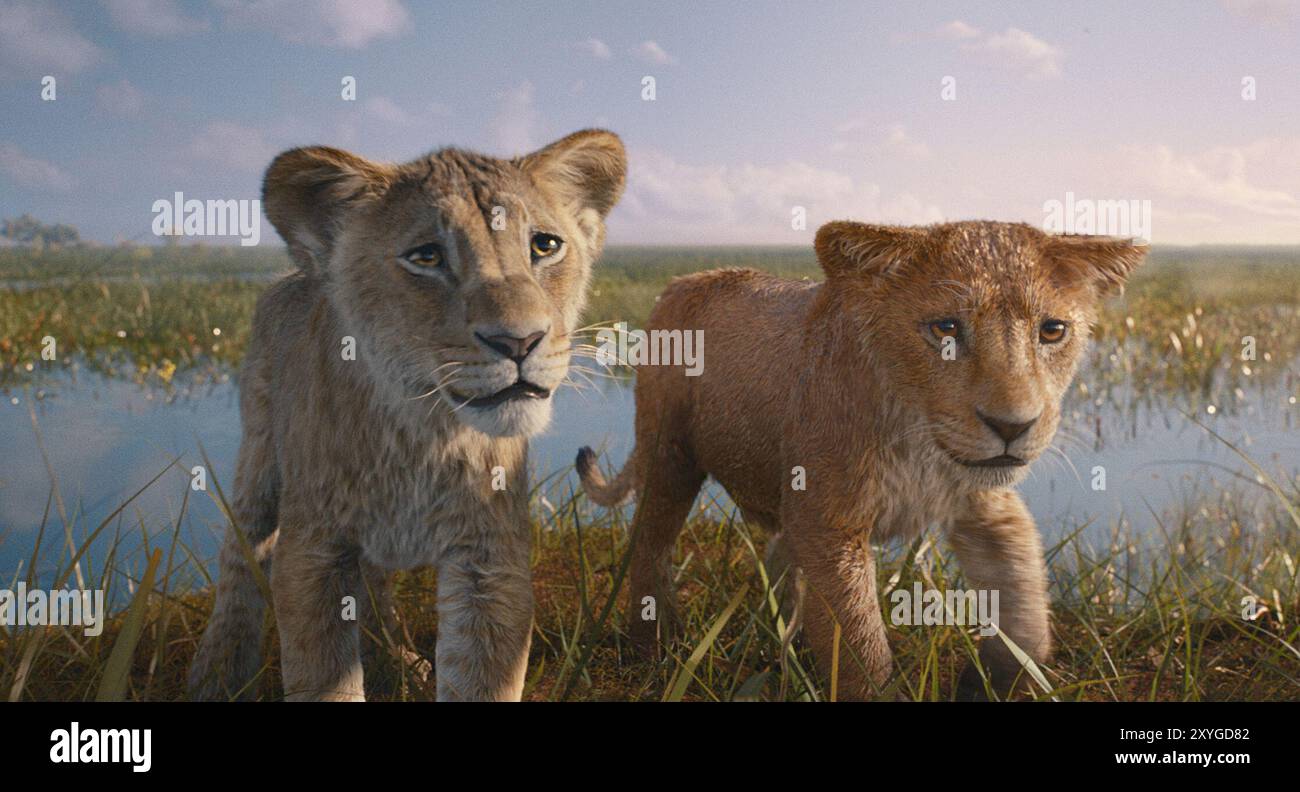 Mufasa the lion king 2024 hi-res stock photography and images - Alamy