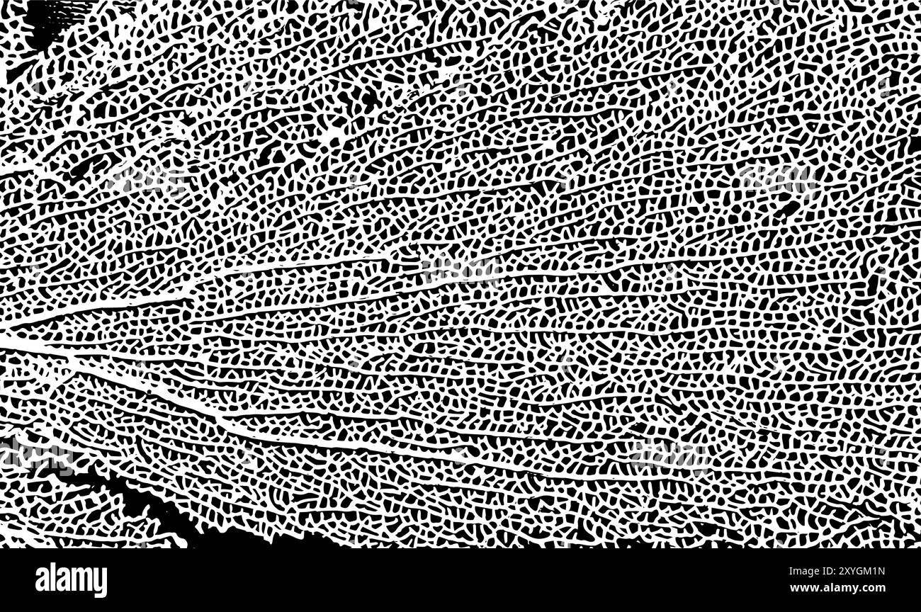 Skeleton leaf background. Not AI. Vector illustration Stock Vector ...