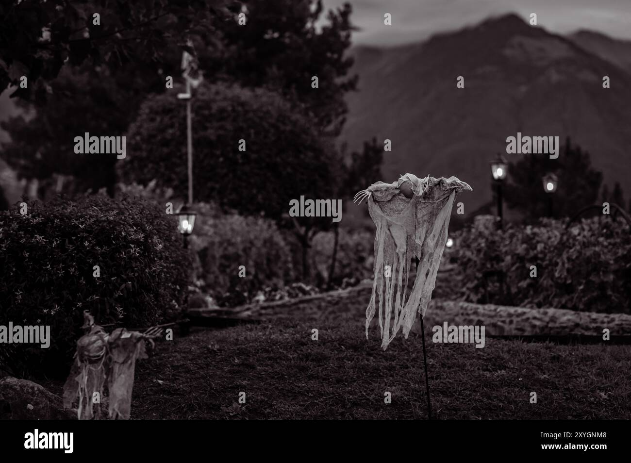 Human skeleton outdoors. Grim Reaper black and white halloween ...