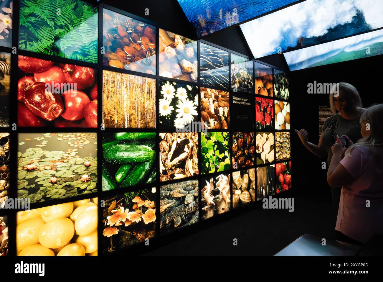 Water cycle exhibit hi-res stock photography and images - Alamy