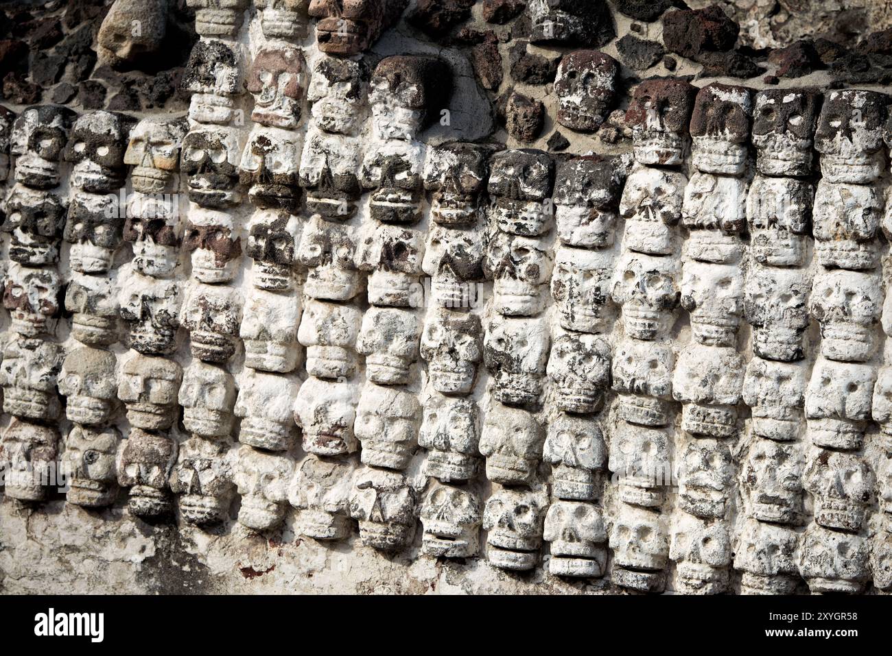 Altar Tzompantli Stone Skulls Templo Mayor Mexico City Mexico // MEXICO ...