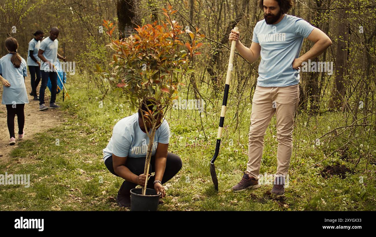 Diverse volunteers team digging holes to plant trees in the woods ...