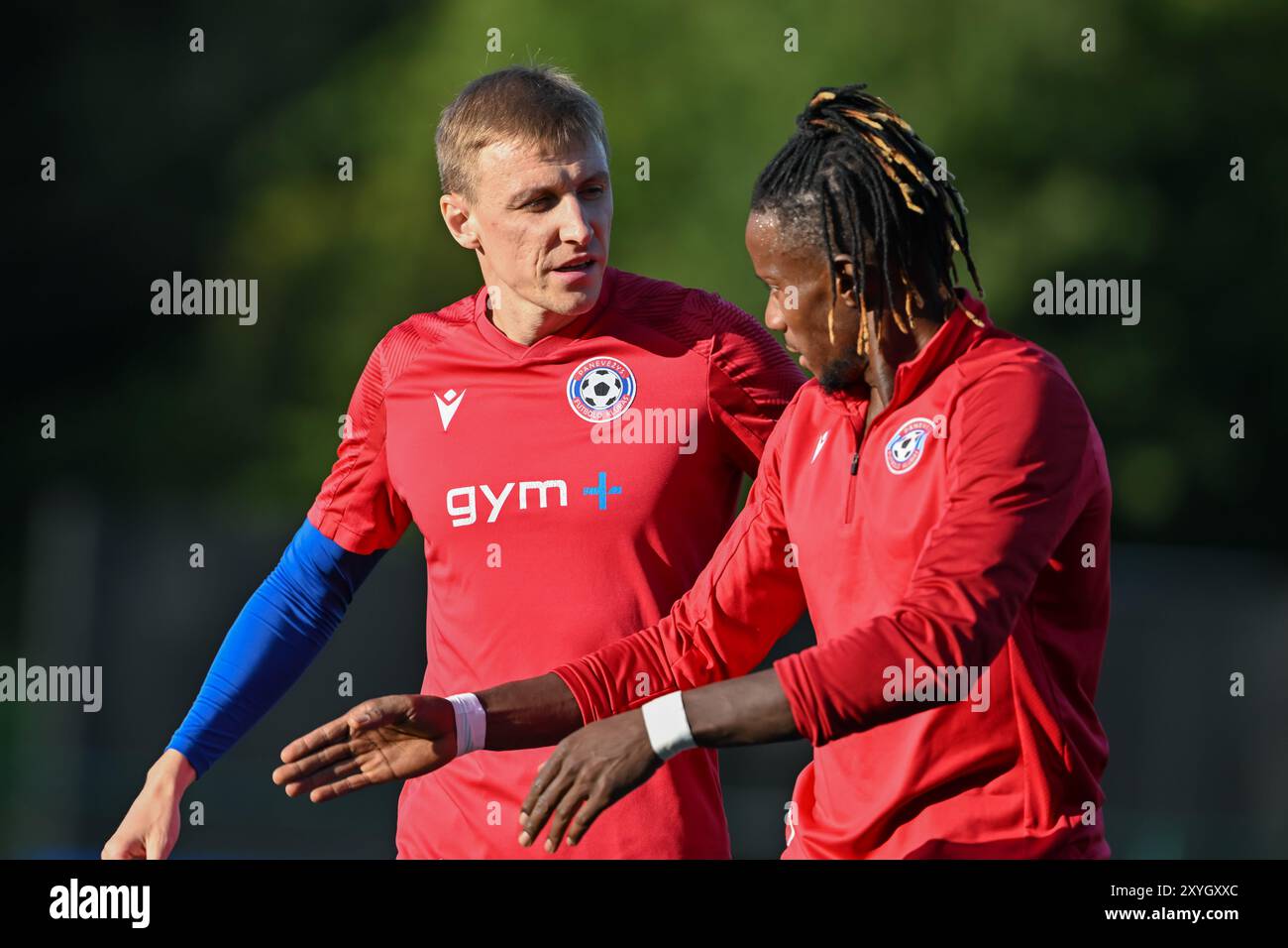 Ernestas veliulis hi-res stock photography and images - Alamy