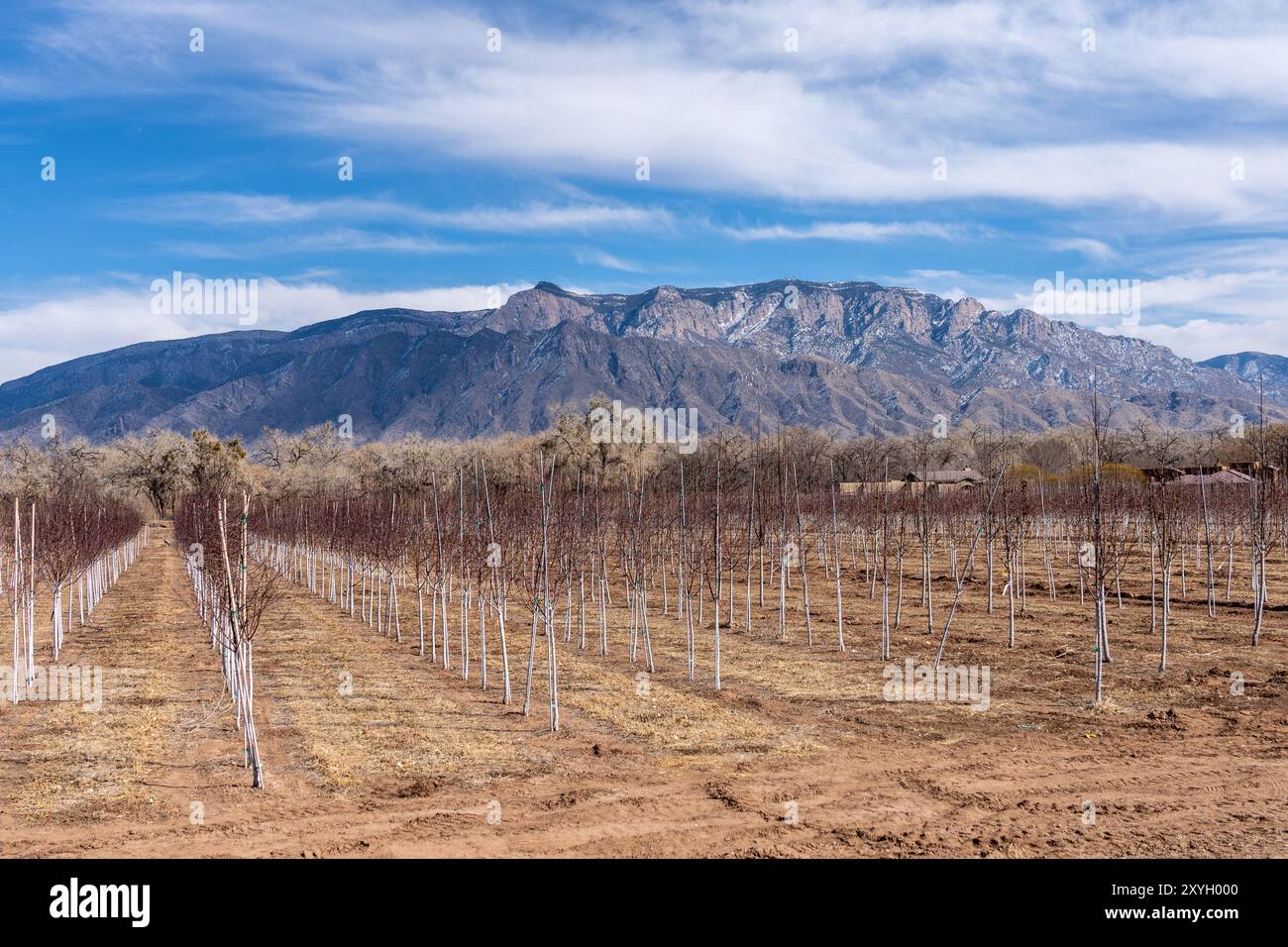 Corrales new mexico hi-res stock photography and images - Alamy