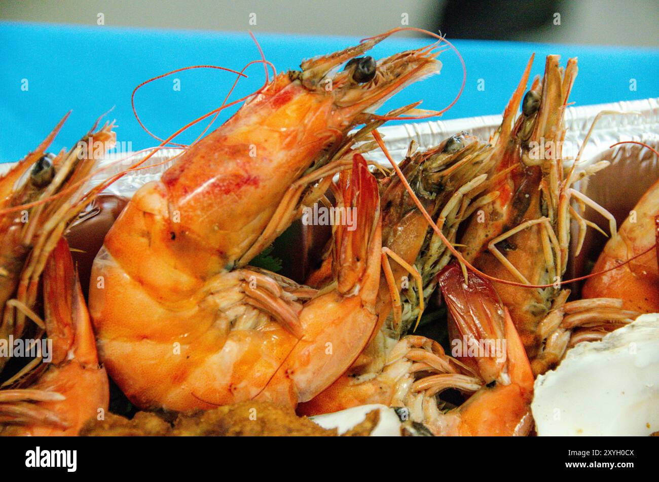 Shrimp capital of the world hi-res stock photography and images - Alamy