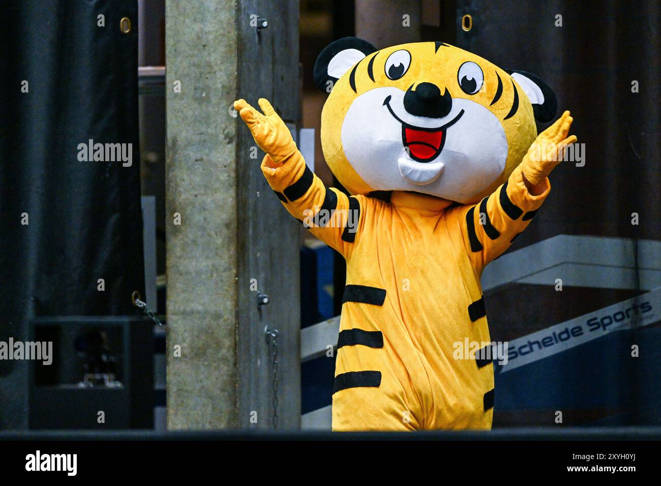 Kortrijk, Belgium. 28th Aug, 2024. Mascotte yellow tigers pictured ...