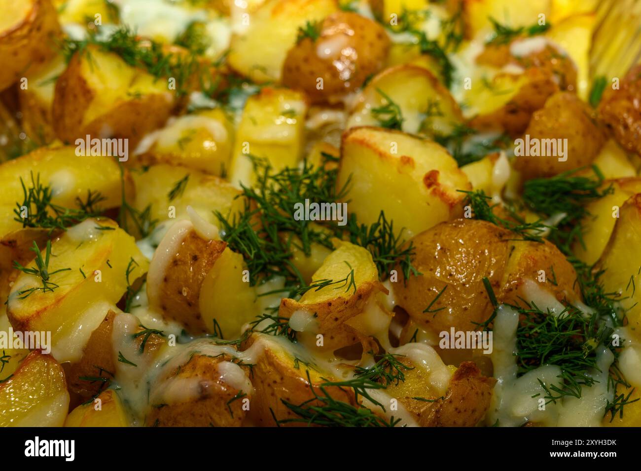 Gratinated cheese hi-res stock photography and images - Alamy