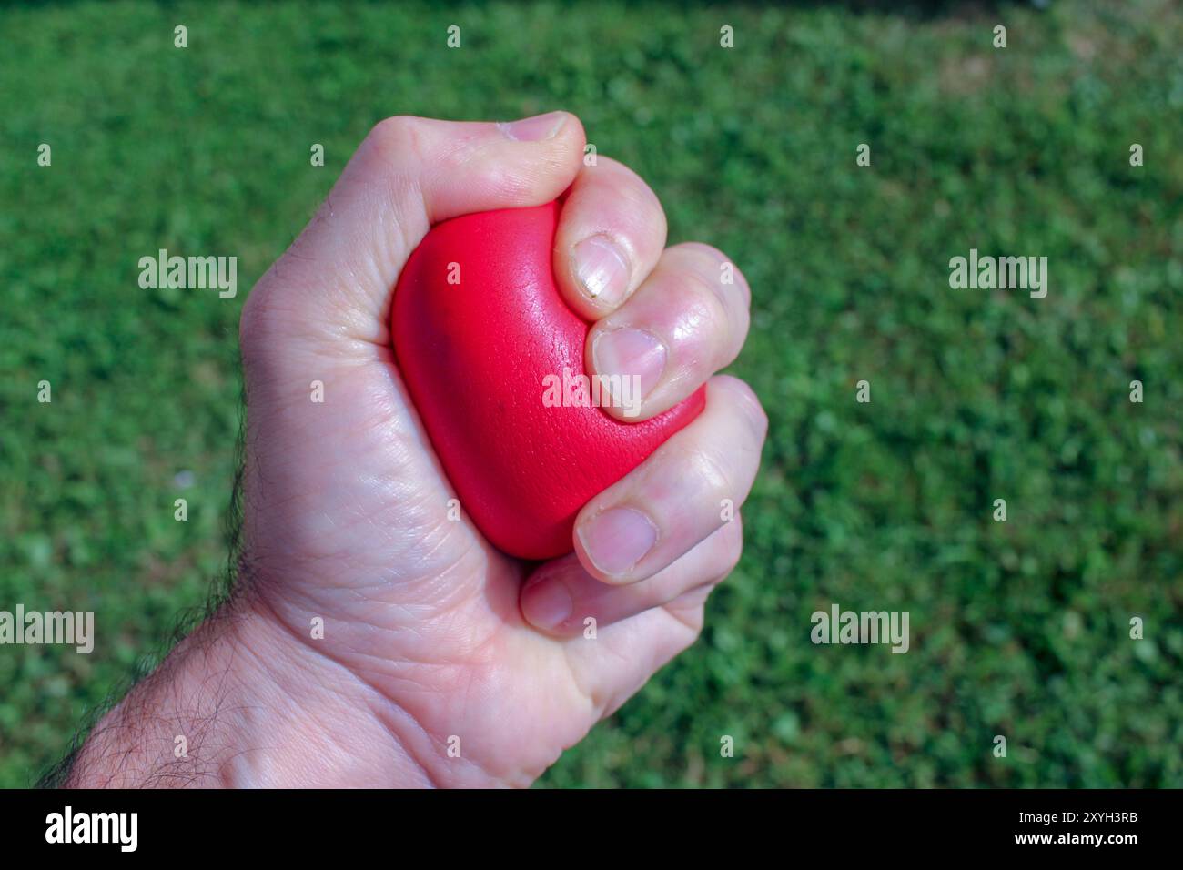 Human heart cut out hi-res stock photography and images - Alamy