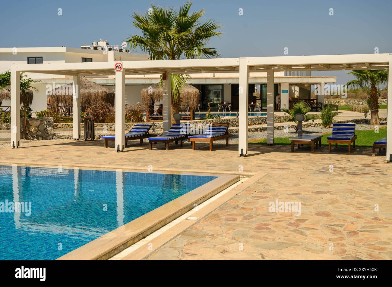 Rectangular swimming pool in tropical hotel with crystal clear water ...