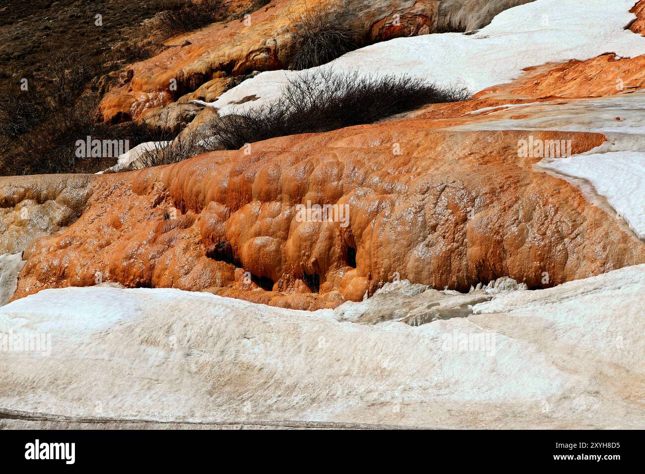 sulphur and iron mineral natural water springs at gudauri and kazbegi ...